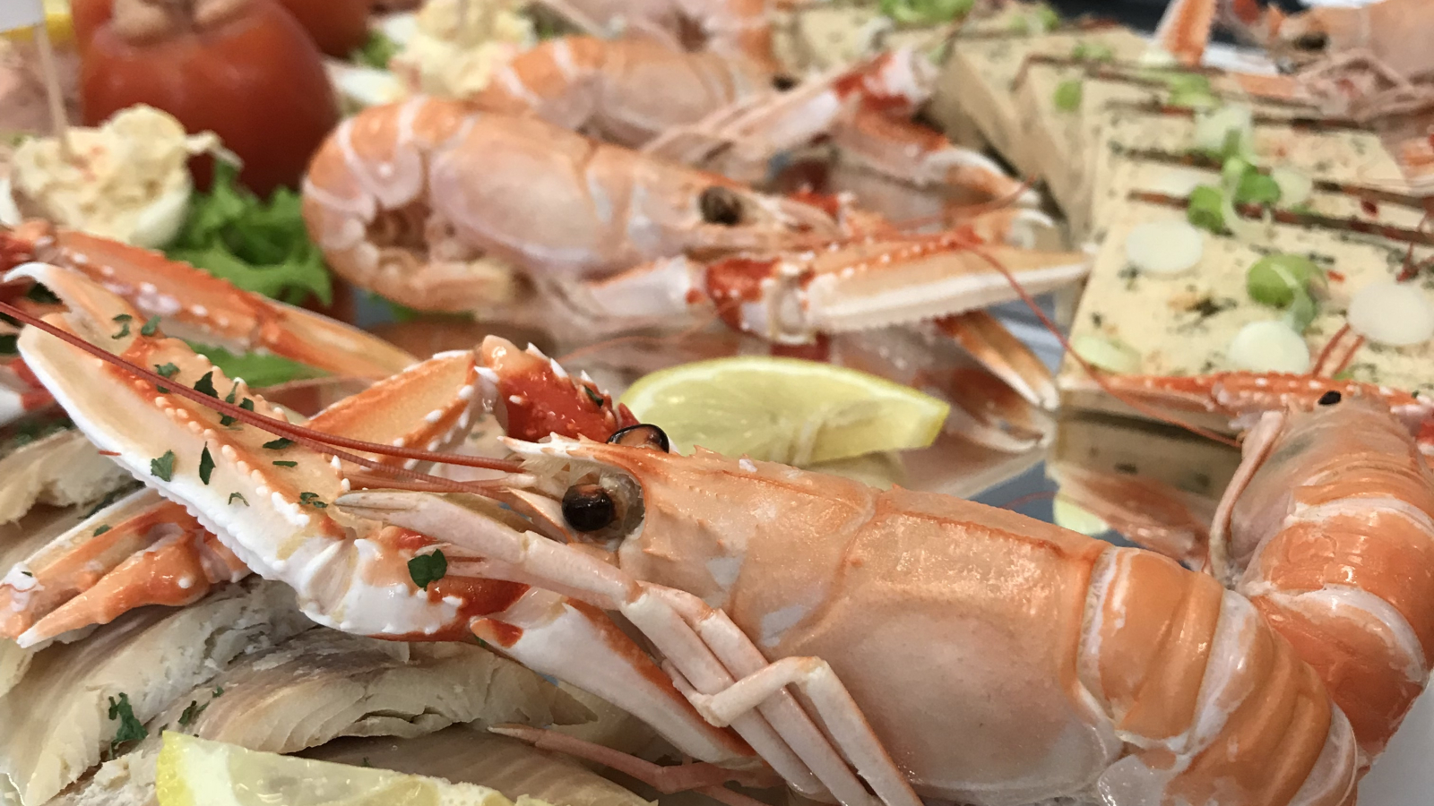 Koud Buffet | COOK IN STYLE